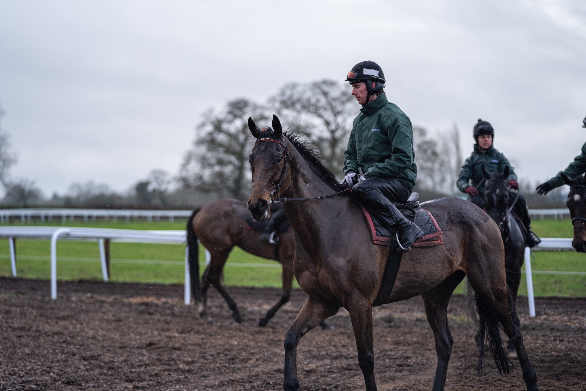 Randox Grand National on agenda once again for Noble Yeats