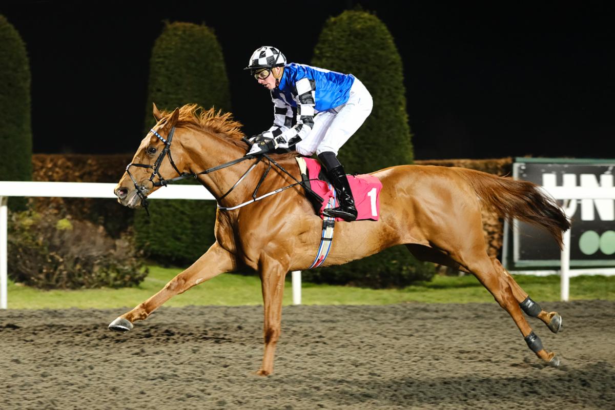 Earl Of Tyrone far too good in Kempton Park feature
